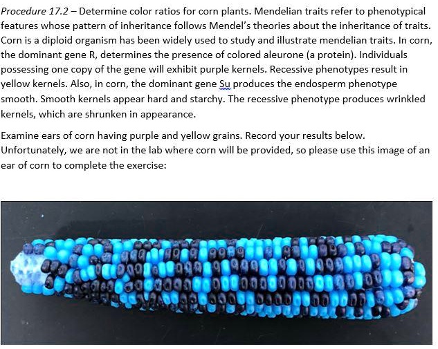 SOLVED: Procedure 17.2: Determine color ratios for corn plants ...