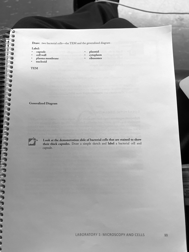 Draw: two bacterial cells - the TEM and the generalized diagram Label ...