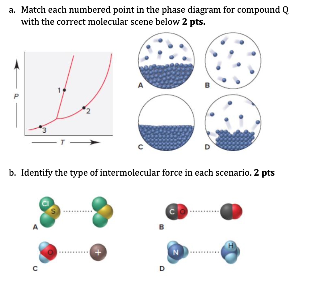 SOLVED: a. Match each numbered point in the phase diagram for compound ...