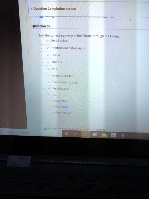 SOLVED: Question 59 Sort the correct pathway of the filtrate through ...