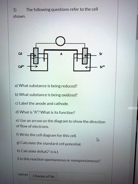 SOLVED: The following questions refer to the cell shown: a) What substance is being reduced? b ...