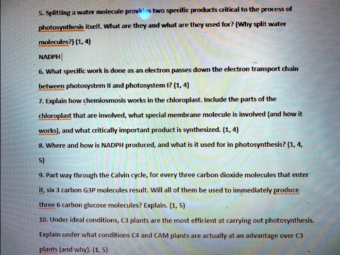 5 splitting a water molecule provin iwo specific products citical to ...