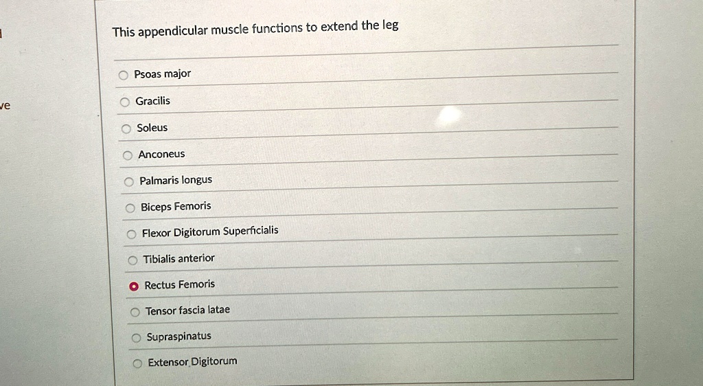 This appendicular muscle functions to extend the leg Psoas major ...