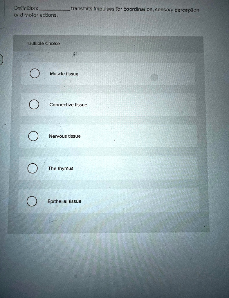definition transmits impulses for coordination sensory perception and motor actions multiple ...