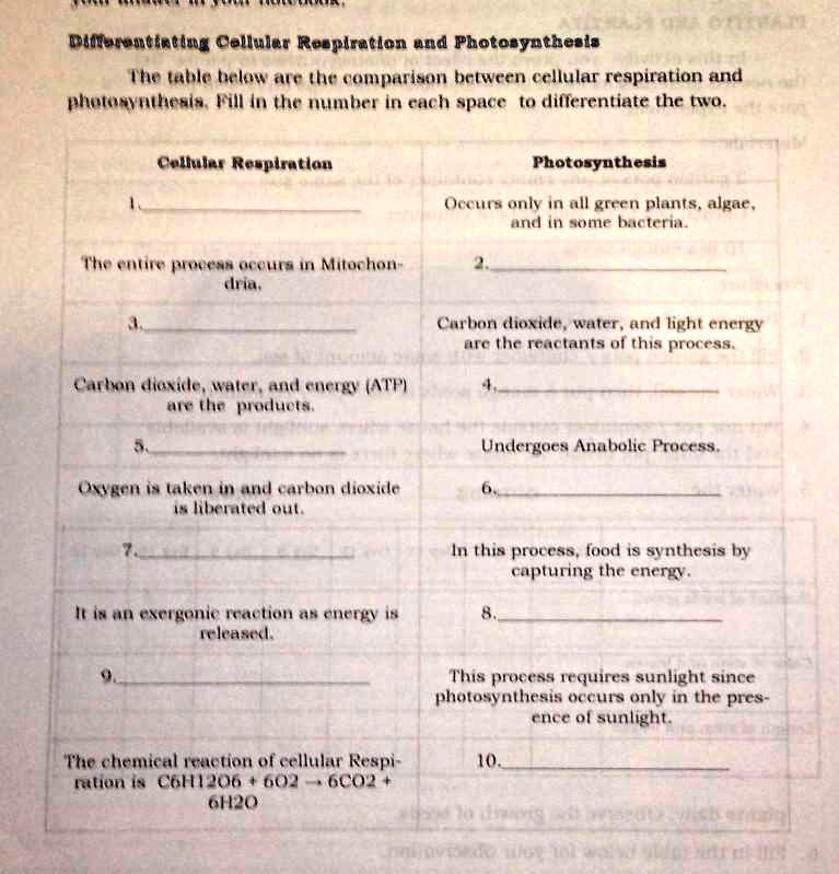 SOLVED: Title: Comparison of Cellular Respiration and Photosynthesis ...