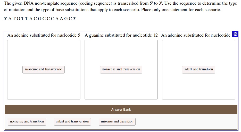 Solved The Given Dna Non E Template Sequence Coding Sequence Is 3512