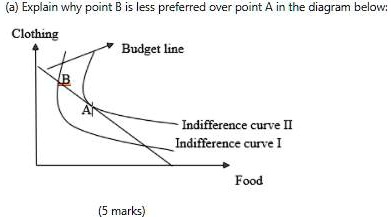 SOLVED: a) Explain why point B is less preferred over point A in the ...