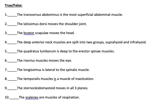 True/False: 1. The transversus abdominus is the most superficial ...