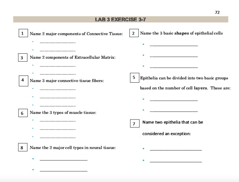 SOLVED: Lab 3 Exercise 3-7 LAB 3 EXERCISE 3-7 Name 2 major components of Connective Tissue: Name ...