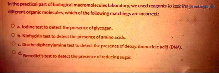 Inthe practical part of biological macromolecules laboratory...