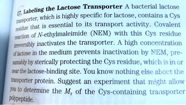 SOLVED: Labeling the Lactose Transporter A bacterial lactose 1 ...