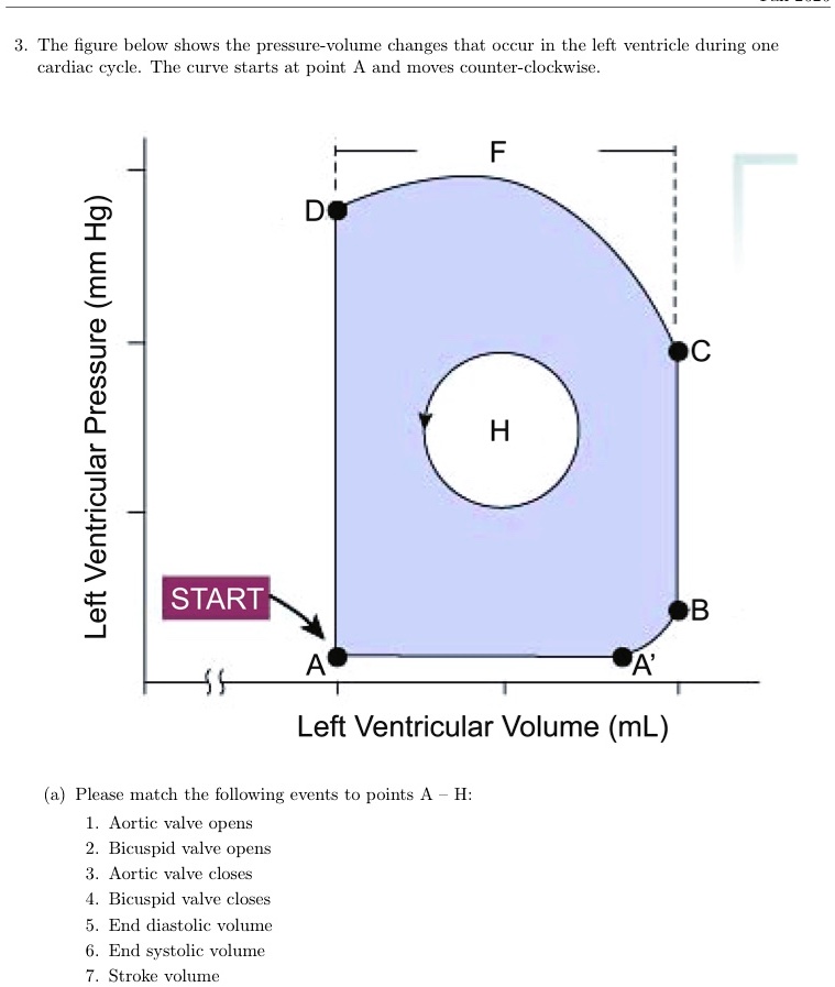 3. The figure below shows the pressure-volume changes that occur in the ...