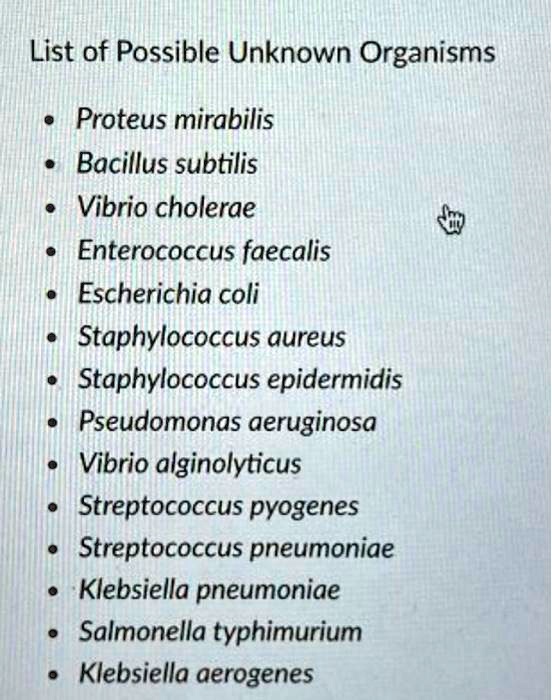 List of Possible Unknown Organisms Proteus mirabilis Bacillus subtilis Vibrio cholerae ...