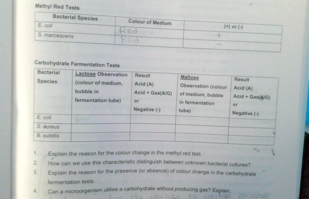 SOLVED: Methyl Red Tests Bacterial Species E. coli S. marcescens Colour ...