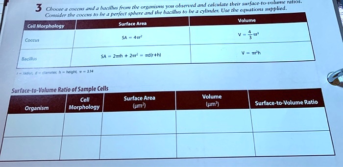 SOLVED: Observed and Calculated Surface-to-Volume Ratios of Bacterial ...