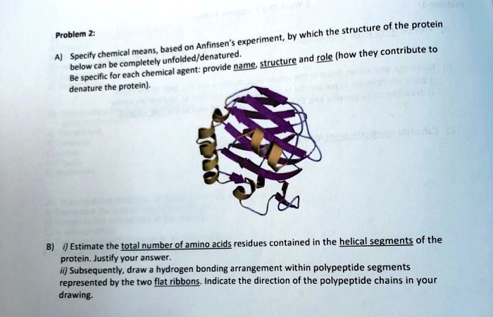 SOLVED: structure of the protein Problem 2: experiment; by which the ...