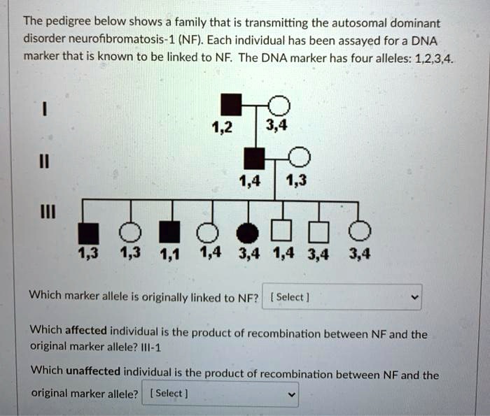 the pedigree below shows a family that is transmitting the autosomal ...