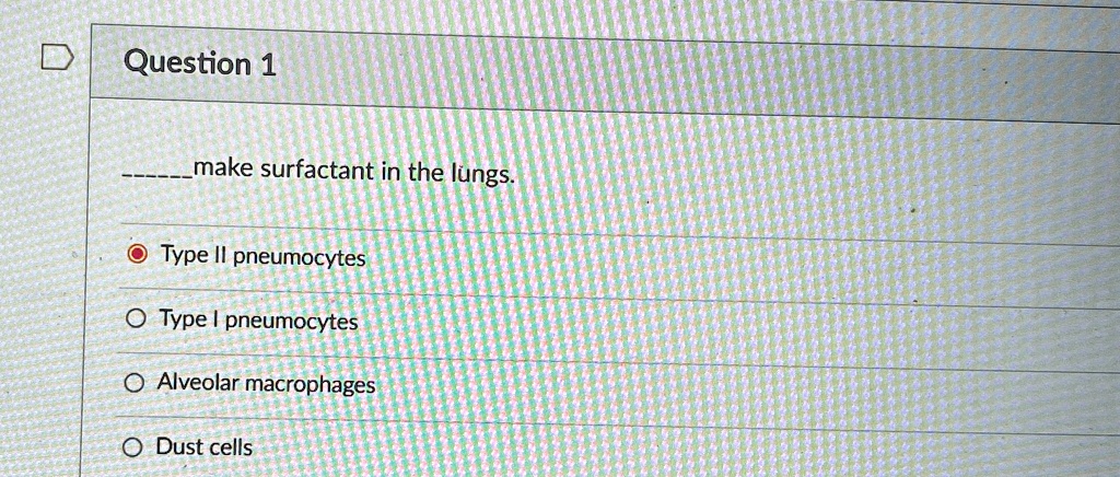 Question 1 make surfactant in the lungs. Type II pneumocytes Type I ...