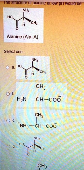 Ine structure or alanine at iow ph wouio de nhz ho ch...