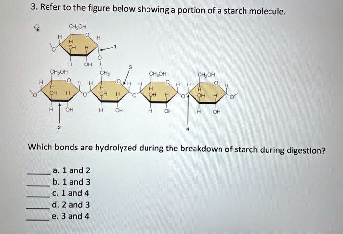 SOLVED:3. Refer to the figure below showing a portion of a starch ...