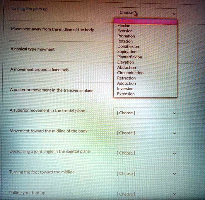 Turning the palm up Movement away from the midline of the body A ...