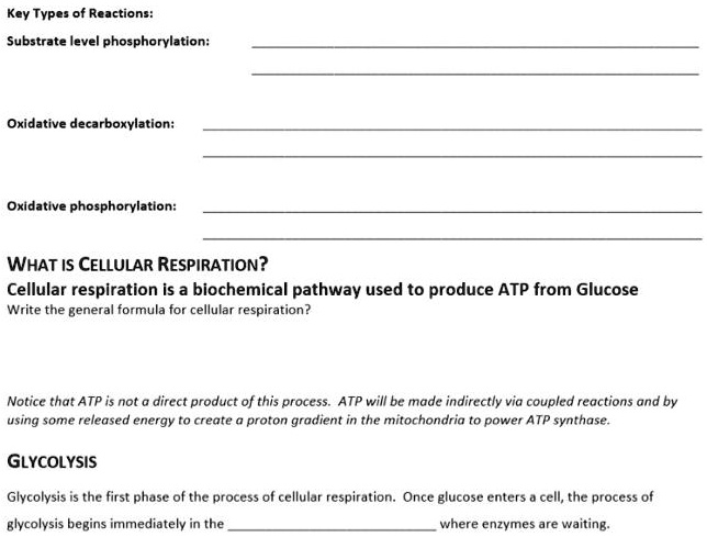 Key Types of Reactions: Substrate level phosphorylation: Oxidative ...
