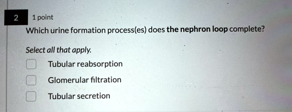 2 1 point which urine formation processes does the nephron loop complete select all that apply ...