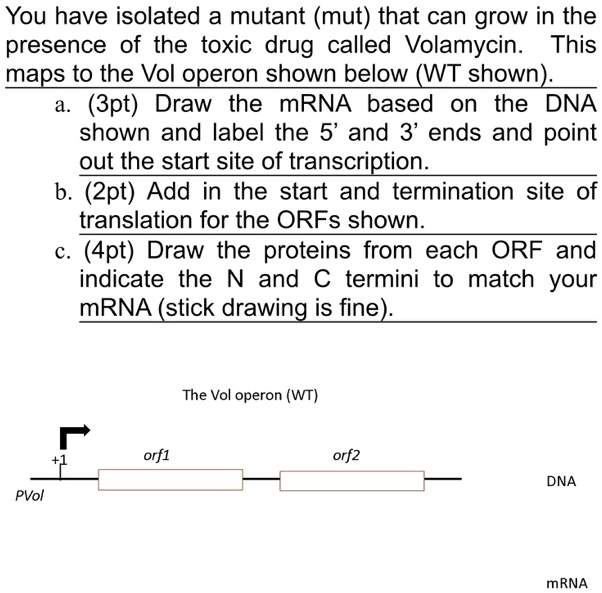 you have isolated a mutant mut that can grow in the presence of the ...