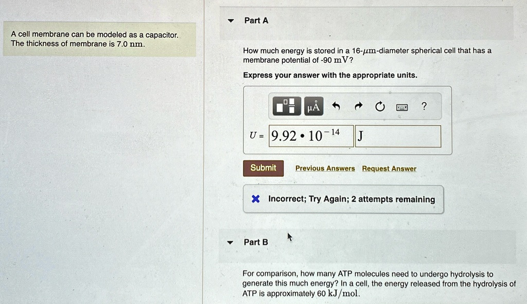 part a a cell membrane can be modeled as a capacitor the thickness of ...