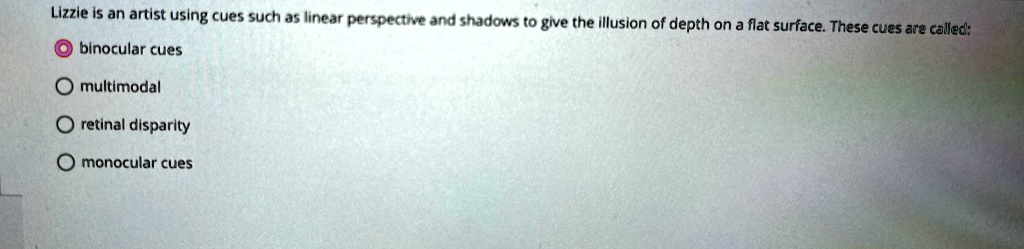 lizzie is an artist using cues such as linear perspective and shadows ...