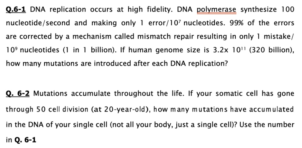 SOLVED: DNA replication occurs at high fidelity: DNA polymerase ...