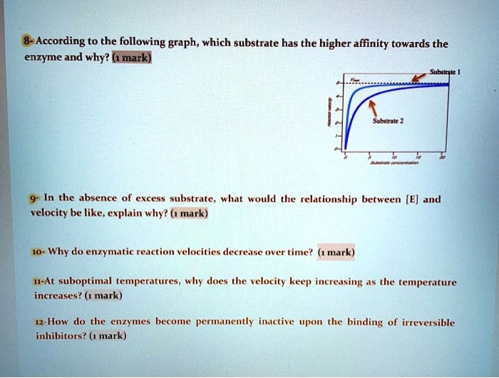 according to the following graph which substrate has the higher ...