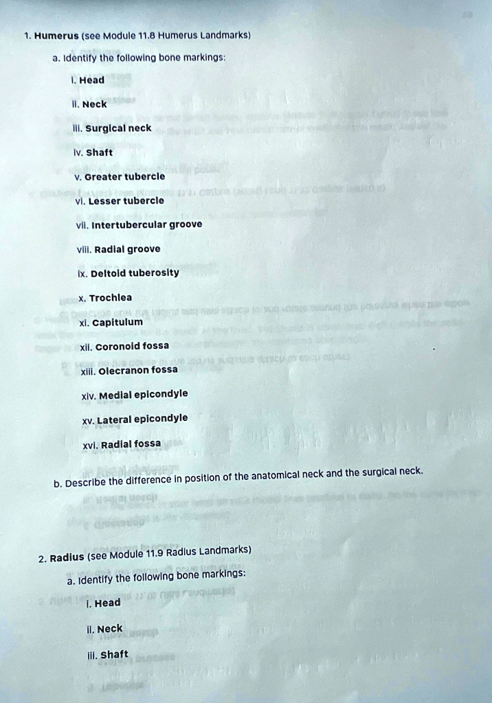 1. Humerus (see Module 11.8 Humerus Landmarks) a. Identify the ...