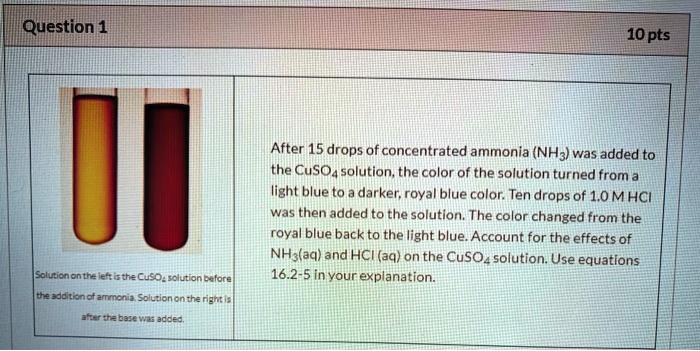 question 1 10 pts after 15 drops of concentrated ammonia nh3 was added ...
