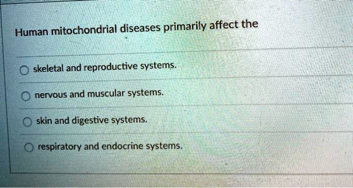 human mitochondrial diseases primarily affect the skeletal and ...