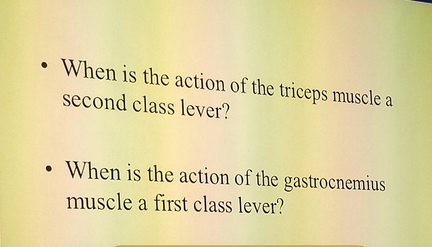 SOLVED: When is the action of the triceps second class lever? muscle a ...