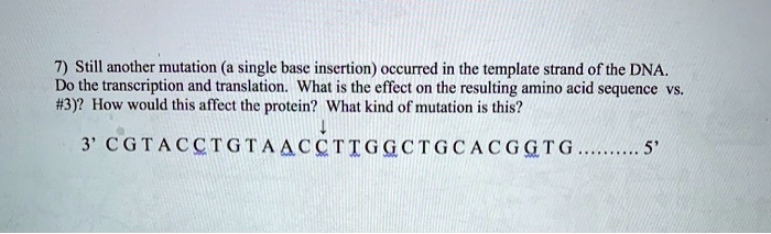 SOLVED: Still another mutation (a single base insertion) occurred in ...