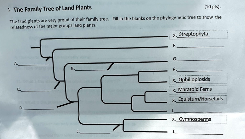 1. The Family Tree of Land Plants (10 pts). The land plants are very ...