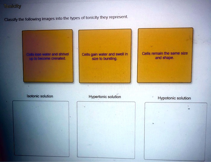 SOLVED: Tonicity Classify the following images into the types of ...