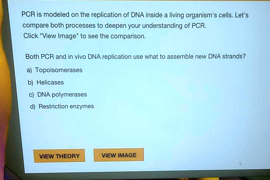 SOLVED: PCR is modeled on the replication of DNA inside a living ...