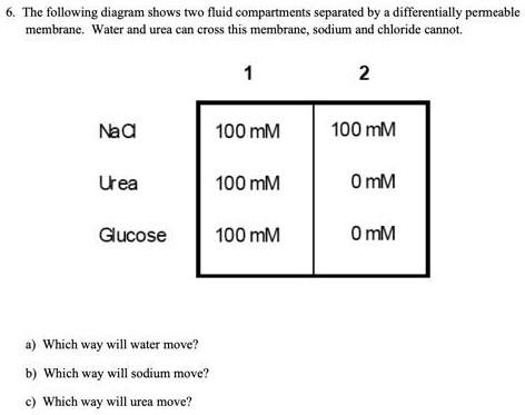 SOLVED: The following diagram shows two fluid compartments separated by ...