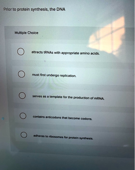SOLVED: Prior to protein synthesis, the DNA Multiple Choice attracts ...