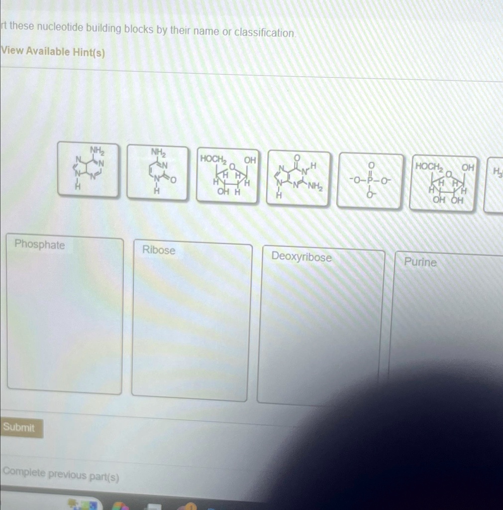 SOLVED: Identify these nucleotide building blocks by their name or ...