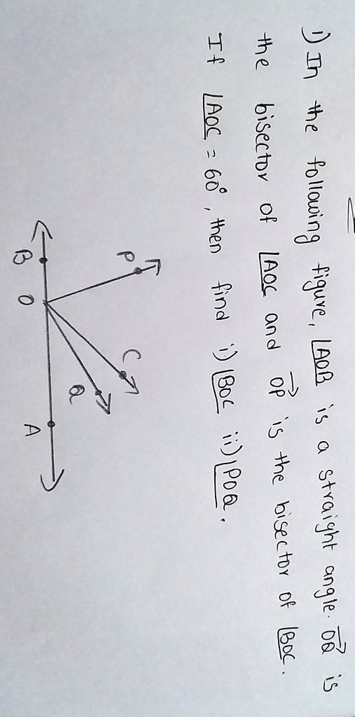 SOLVED: In the following figure, AOB is a straight angle and OQ is the bisector of AOC. OP is ...
