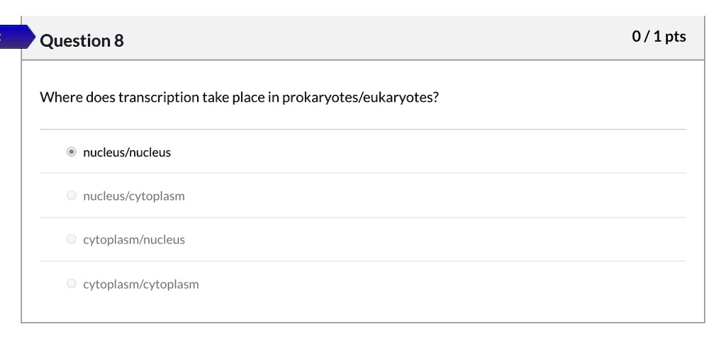 SOLVED: Question 8 0/1pts Where does transcription take place in ... SOLVED: Question 8 0/1pts Where does transcription take place in ...