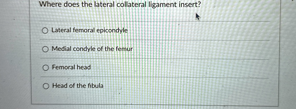Where does the lateral collateral ligament insert? Lateral femoral ...