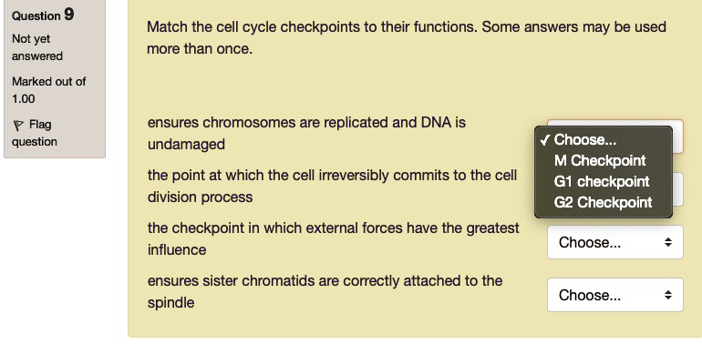 SOLVED: Question 9 Match the cell cycle checkpoints to their functions: Some answers may be used ...