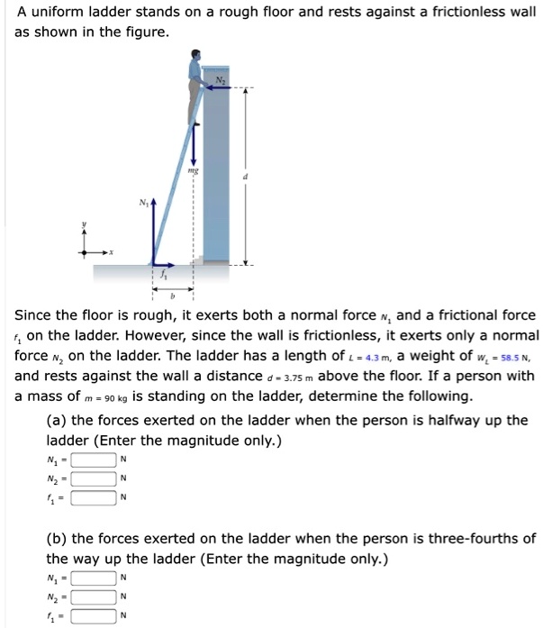 SOLVED: A uniform ladder stands on rough floor and rests against a frictionless wall as shown in ...