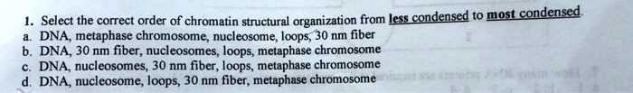 SOLVED: Select the correct order of chromatin structural organization ...