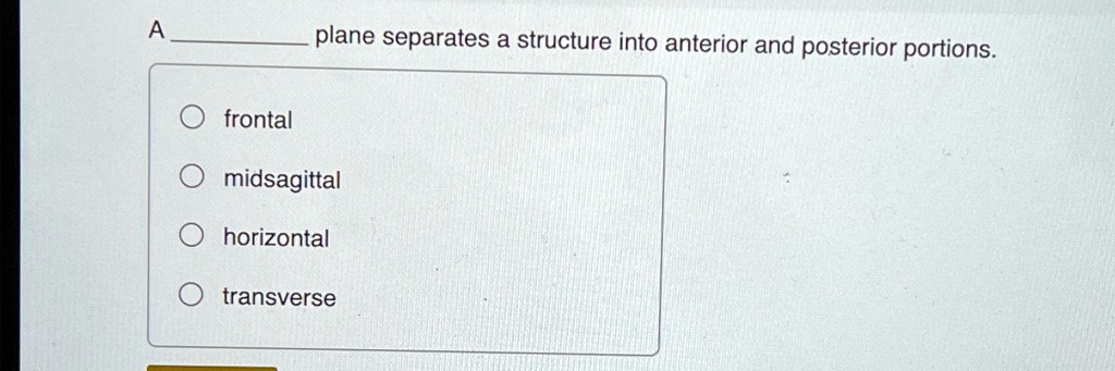A plane separates a structure into anterior and posterior portions ...